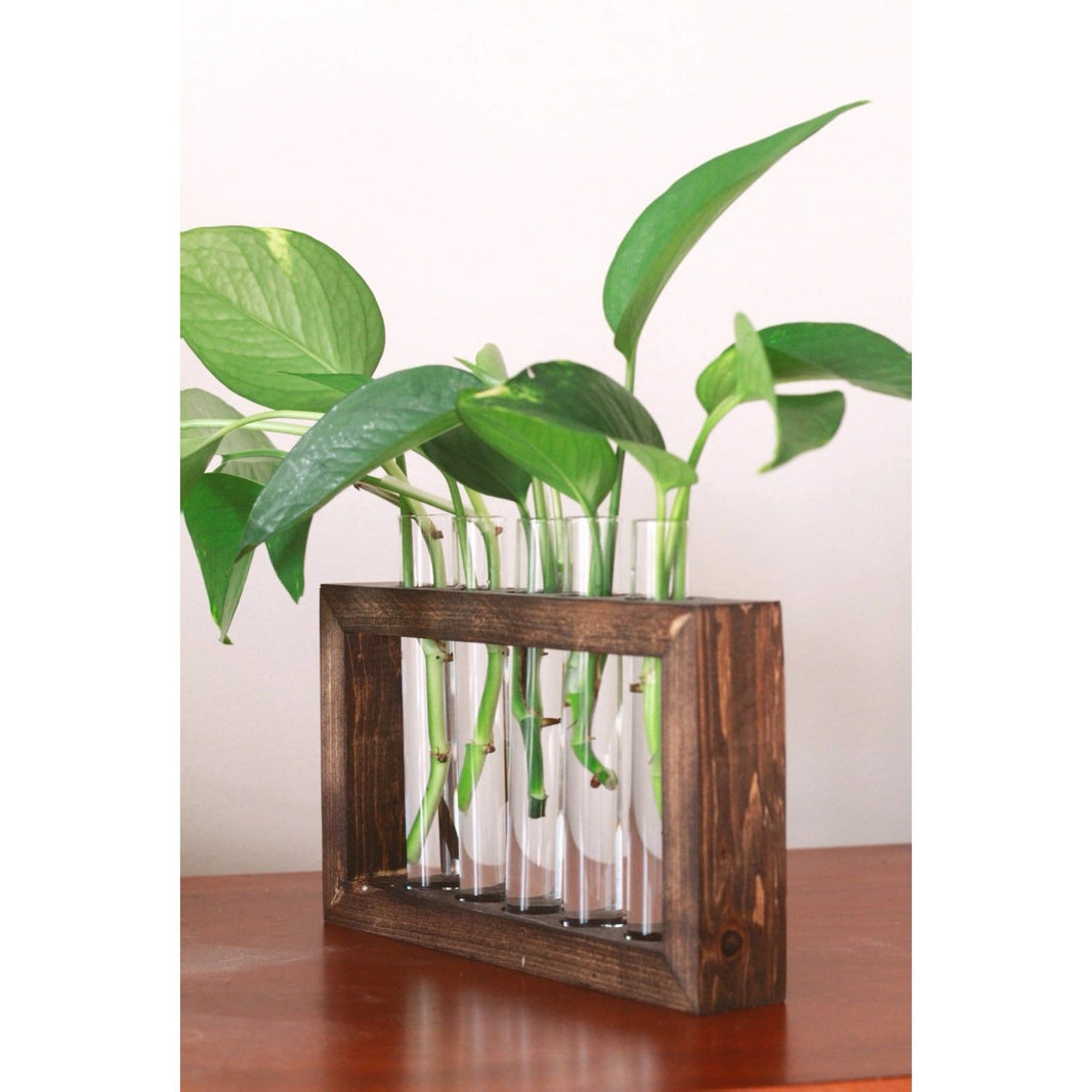 Plant Propagation – JDM Wood Creations